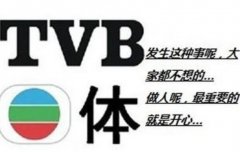 TVB体是什么意思( 套用TVB电视剧中的经典台词)_小狼观天下